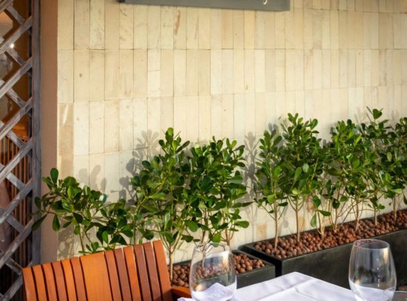 Fera Rooftop - Salvador da Bahia